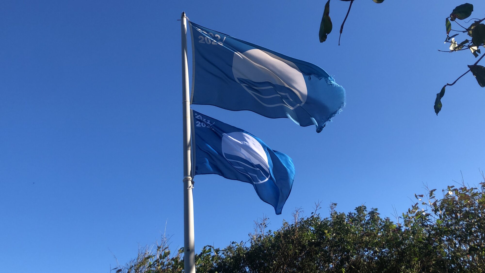 Praias e marinas certificadas com a Bandeira Azul aderem à campanha “Go ...
